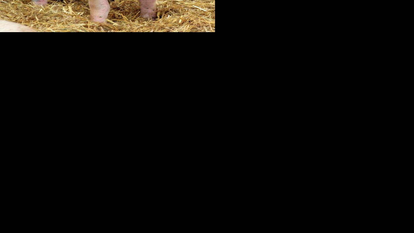 Market Reports | lancasterfarming.com