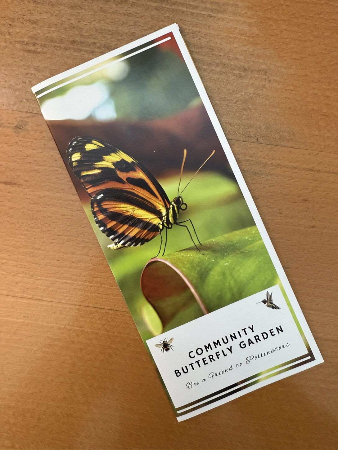 New Holland Butterfly Garden Opening in May | Farm and Rural Family ...