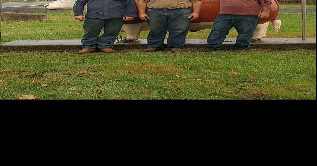 New Butcher Offering Custom Processing to Small Beef Farms | Livestock ...