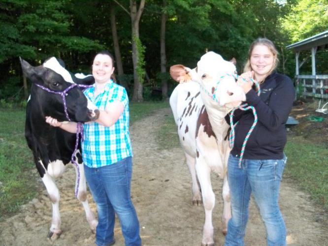 Mercer County Grange Fair Dairy Show Grows | Farm Shows, County Fairs ...
