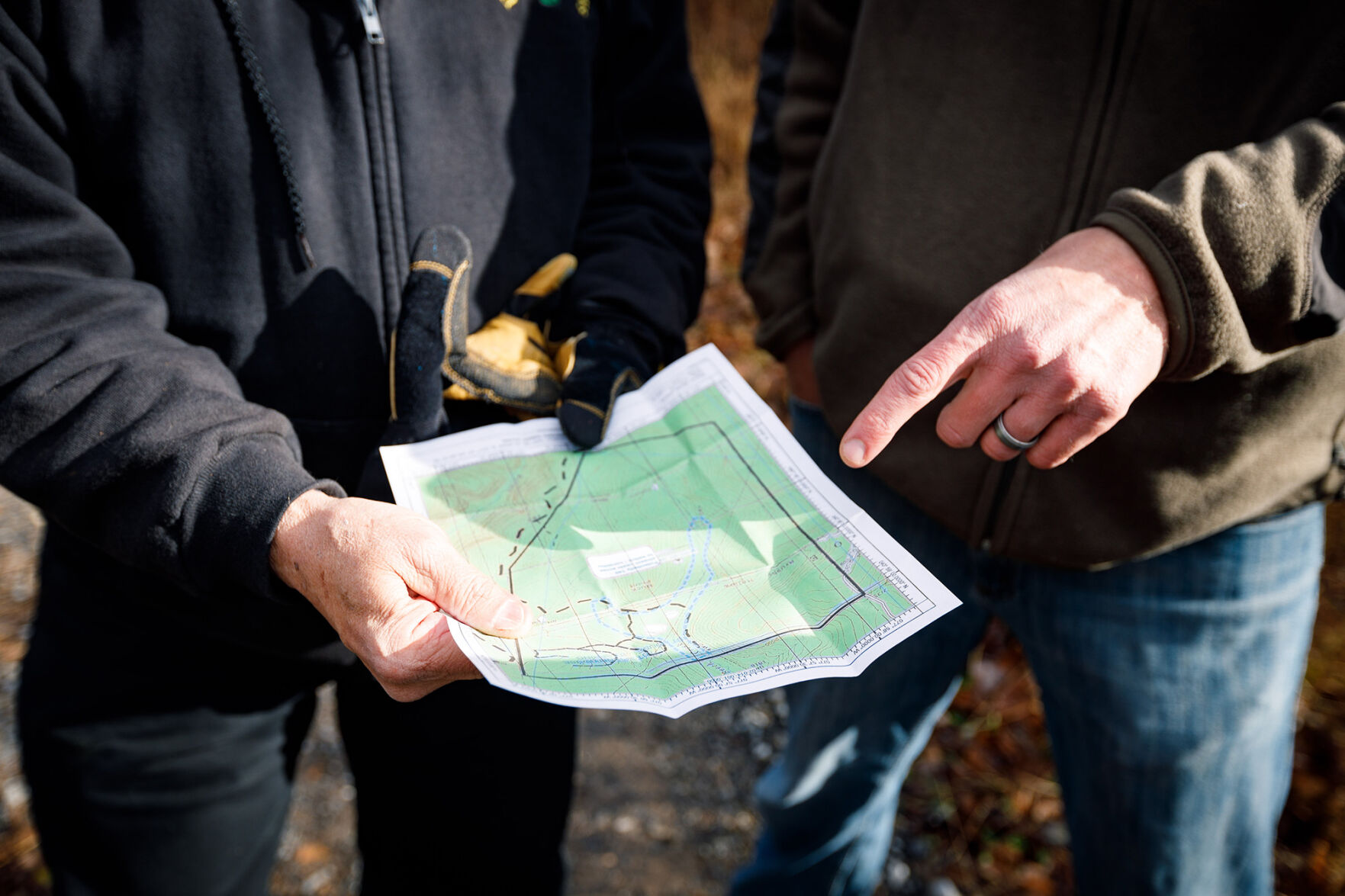 The Voluntary Carbon Market and What It Means to Family Forest Owners ...