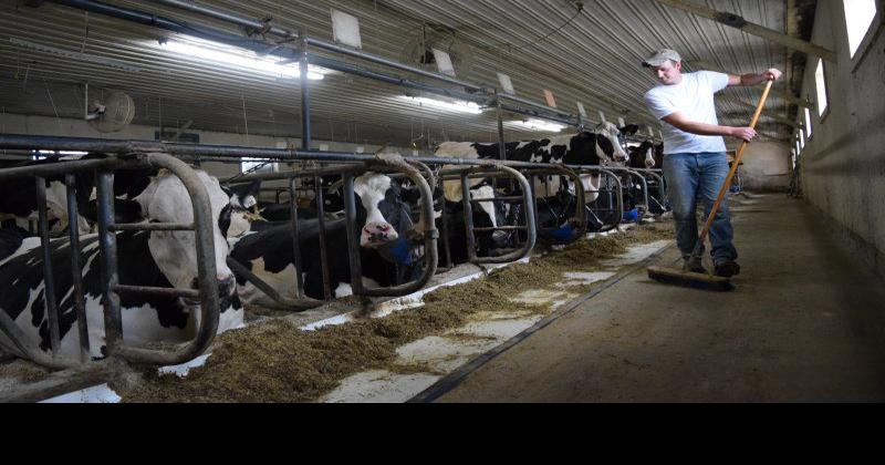 Efficiency Is Key for Today’s Dairy Farmer | Farming and Agricultural ...