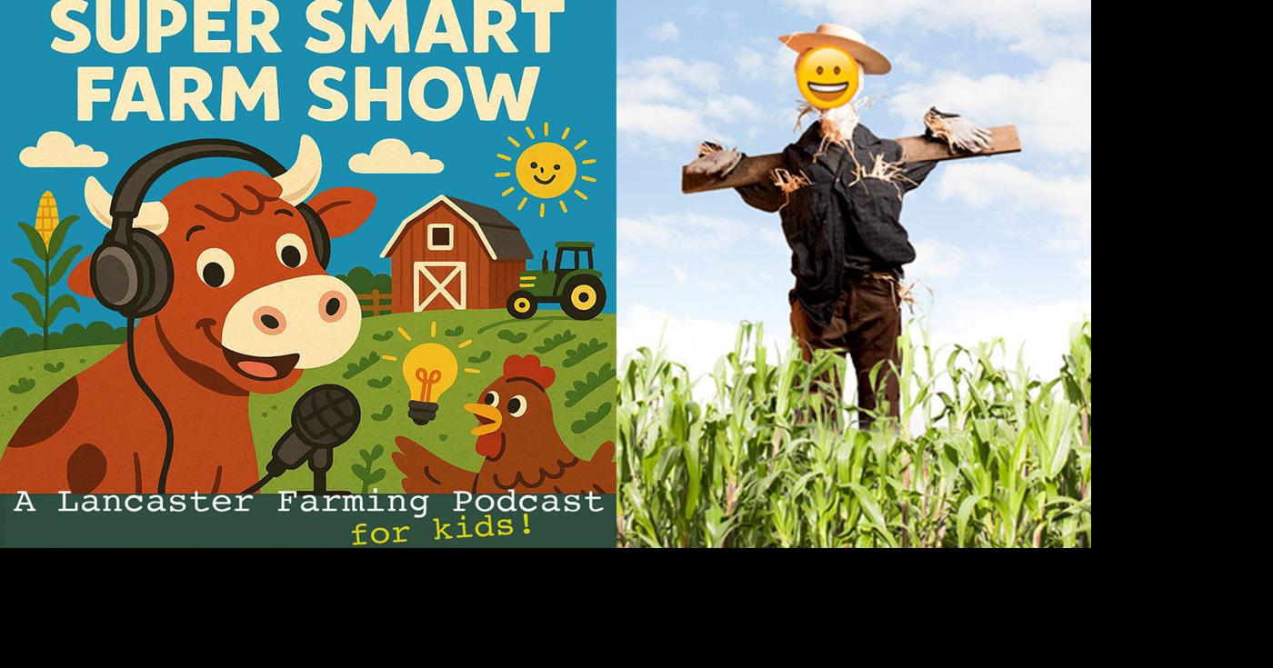 How Do Scarecrows Work? | Super Smart Farm Show | lancasterfarming.com