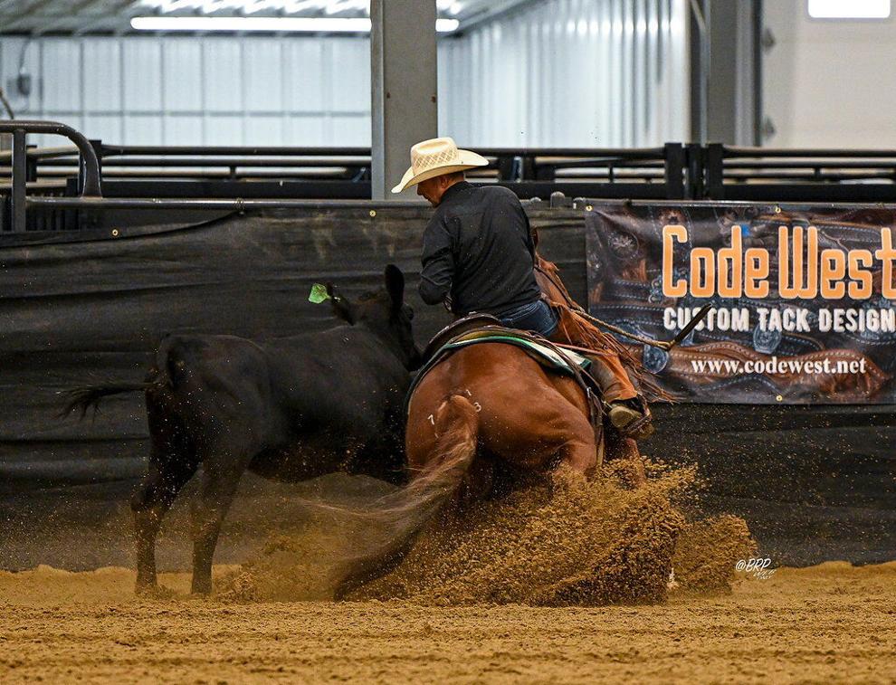 Reined Cow Horse Competition Added to 2026 PA Farm Show Saturday ...