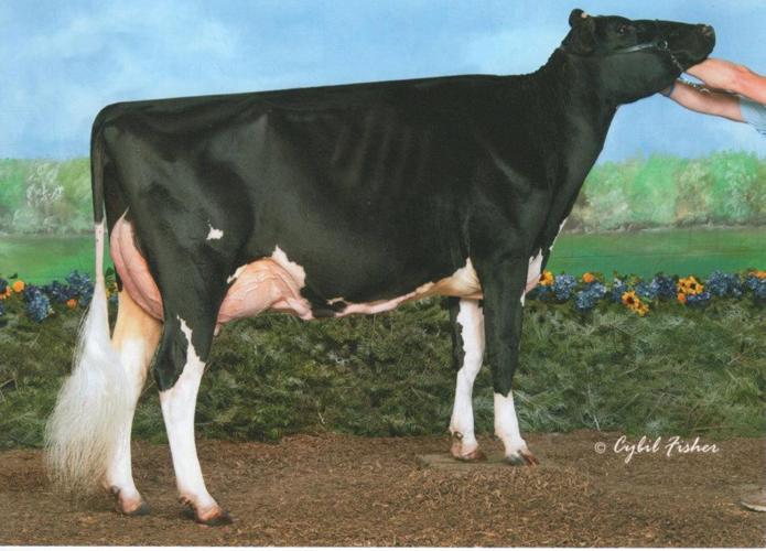 Growing Pains Lead to Pennwood Farm Success | Dairy News ...