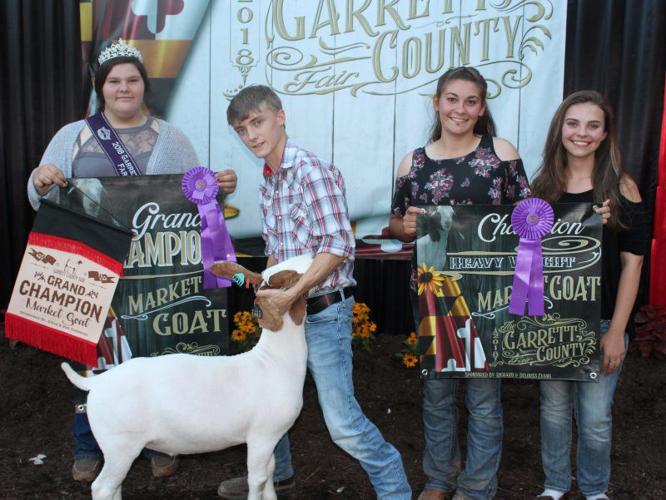 Garrett Livestock Sale Brings Home the Bacon | Farm Shows, County Fairs ...