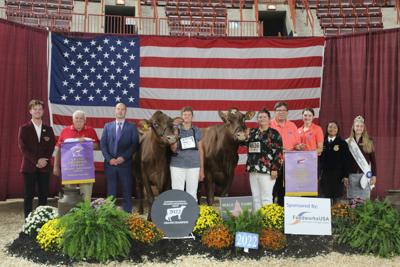 New York Dairyman Adds Color to All-American Dairy Show | Farm Shows ...