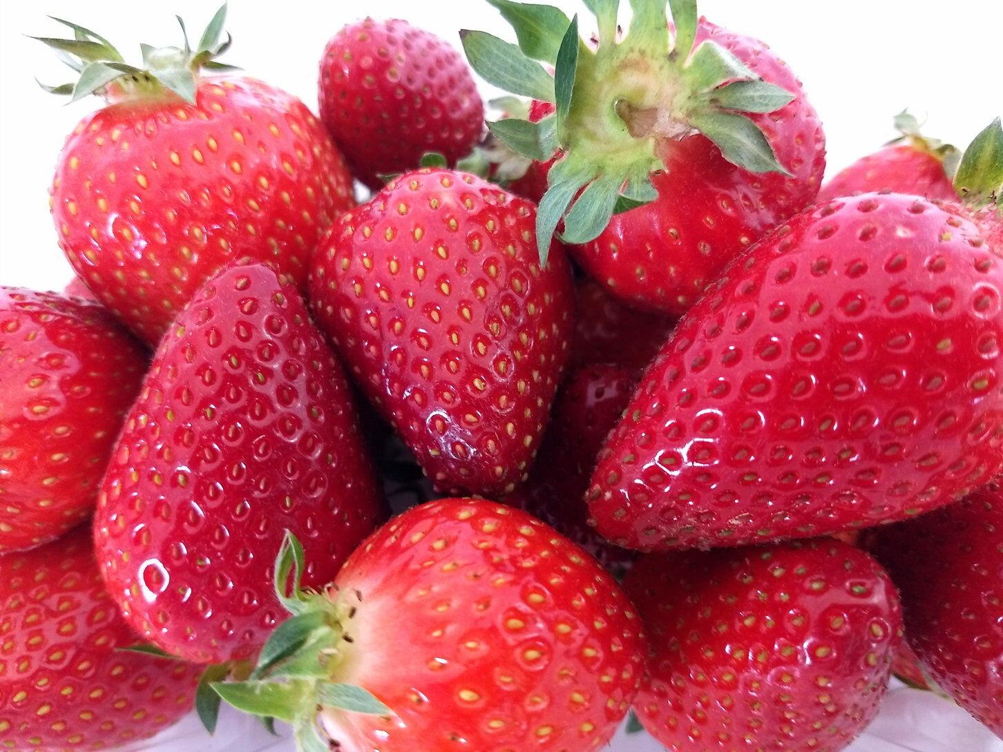 New USDA Strawberry Varieties Light Up the Growing Season | Fruit and ...