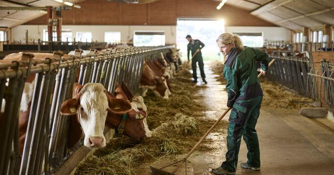 6 Simple Ways to Engage Your Farm Employees | Agriculture Business ...