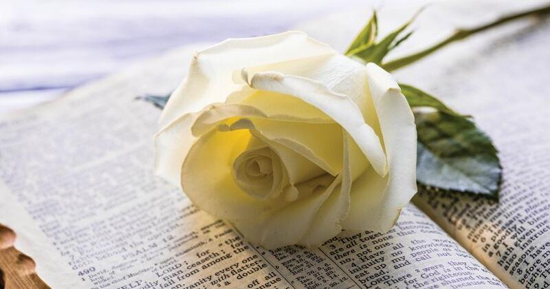 Exploring God’s Peace and Patience | Farm and Rural Family Life ...