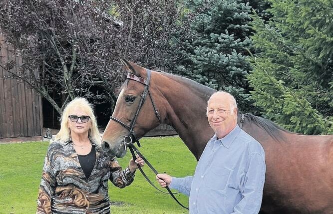 American Association of Equine Practitioners Receives Record $1M Gift ...