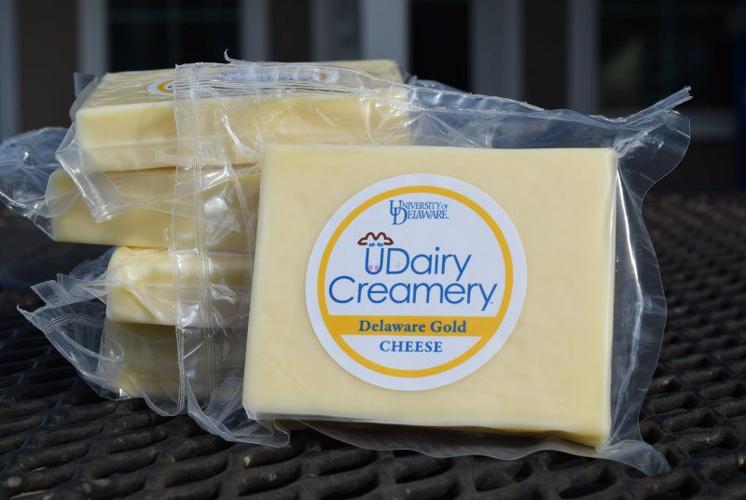 University of Delaware Gets Cheesy | Dairy News | lancasterfarming.com