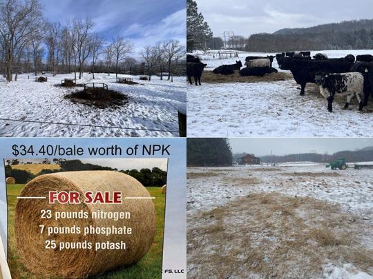 Benefits of Bale Grazing for Livestock and Pasture Management ...