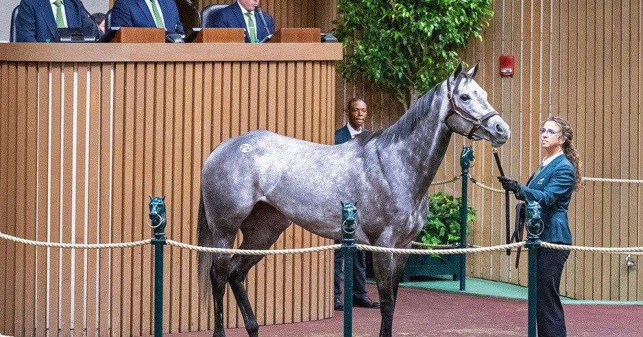 Caravel, Fastest Horse on Grass, Retires From Racing for Breeding ...