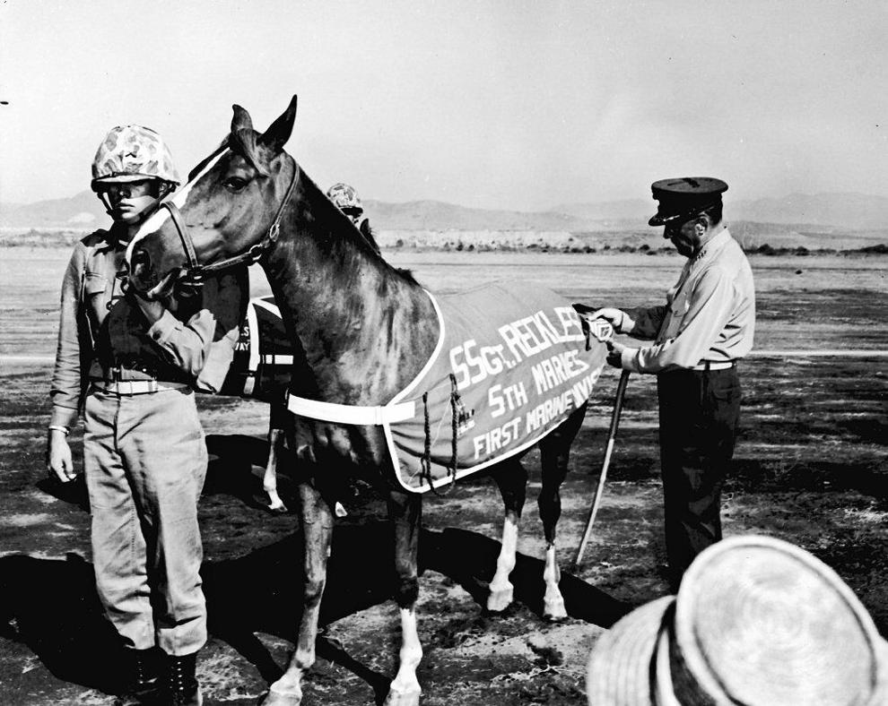 Sgt. Reckless: Meet the Horse That Became the Most Decorated Animal in ...