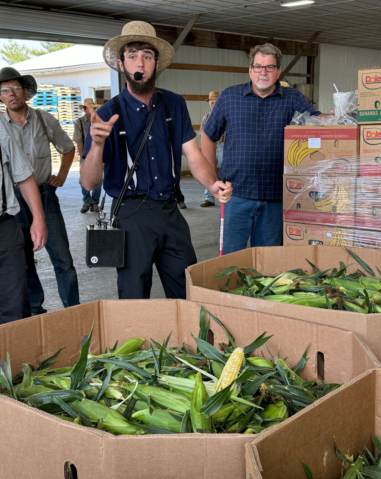Sweet Corn Arriving Early This Year Thanks to Ideal Weather | Field ...