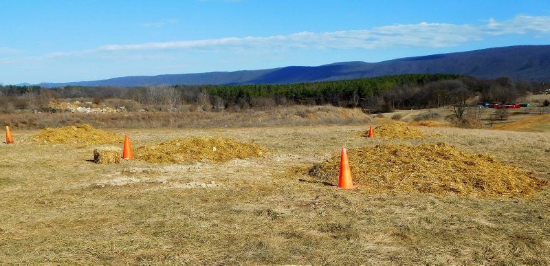 Aboveground Burial of Livestock Could Prove Better for Environment ...