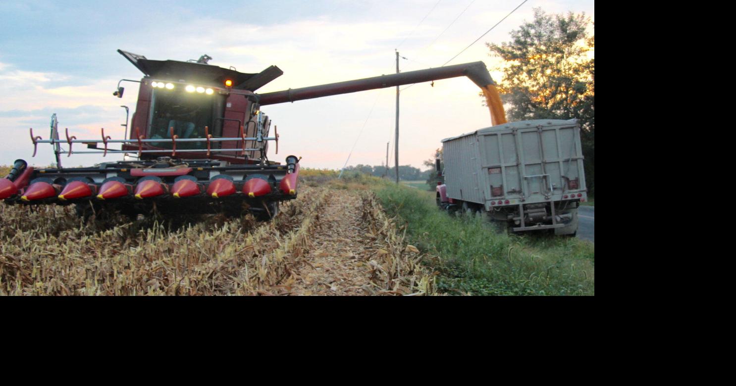 It's Time to Evaluate Pricing for Your 2024 Corn Crop | Field Crop News | lancasterfarming.com