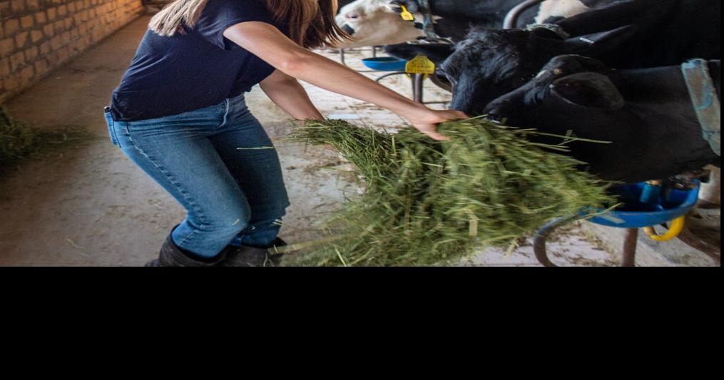 National FFA Secretary Jessica Herr Concludes Her Year of Building ...