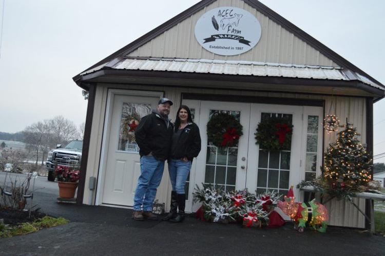 Pig Farm Grows Direct Market During Pandemic | Farming and Agricultural ...