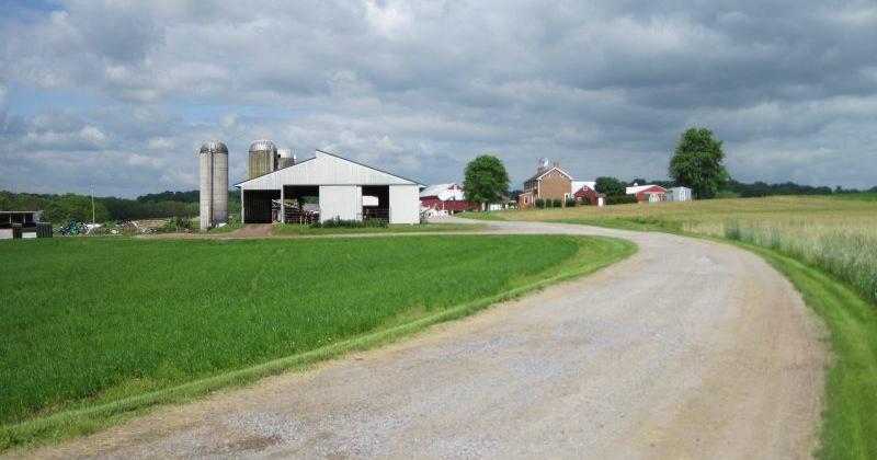Lagging Stream Farm binds generations together | Dairy News ...