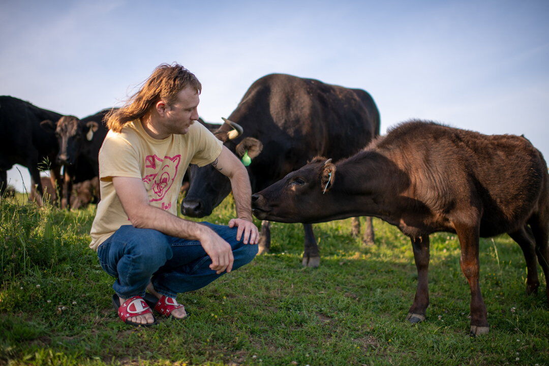 Wagyu Cattle Breeder Puts Premium on Quality Beef | Livestock News ...