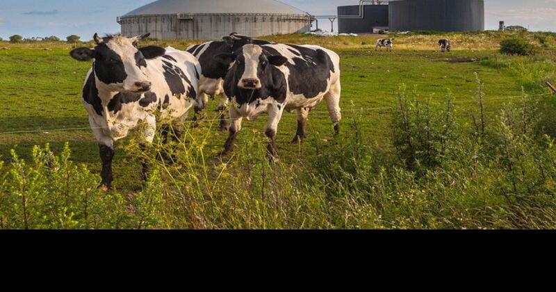 Biogas Benefits Farmers Who Can Manage Upfront Cost | Farming and ...