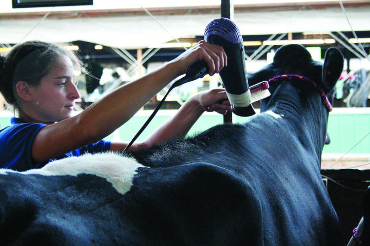 Rockingham County Fair | | lancasterfarming.com