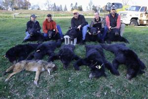 Pennsylvania Bear Harvest Ranks as Fifth Largest | Outdoor Sports ...