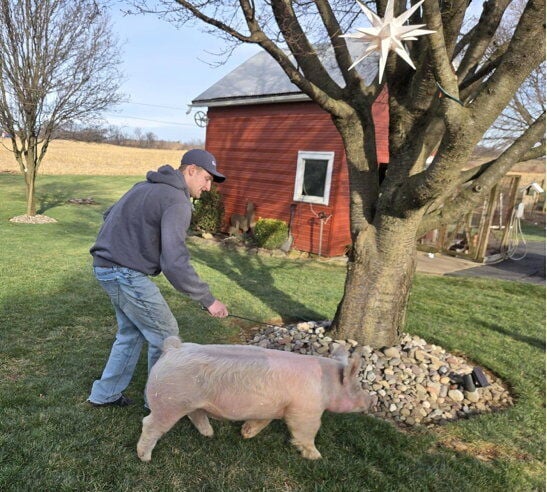 Lebanon County Brothers Exhibiting 3 Species at PA Farm Show | Farm ...