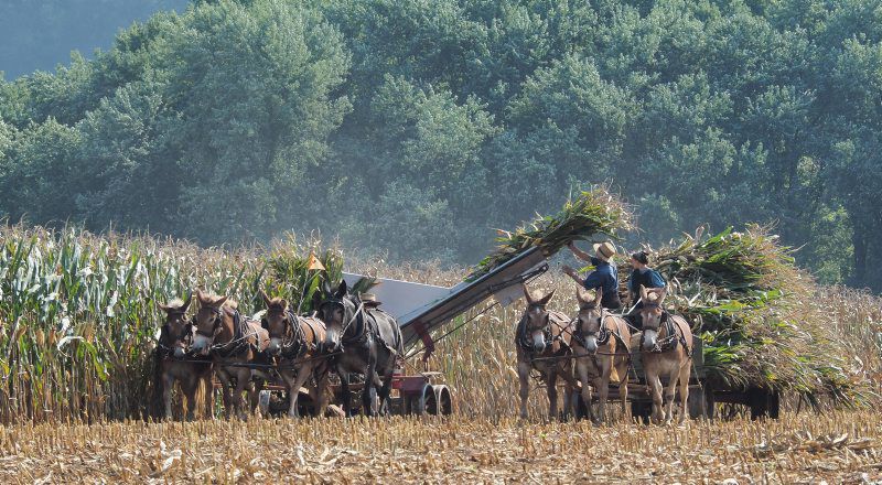 Lancaster Farmland Trust Preserves 500th Farm | Farming and ...