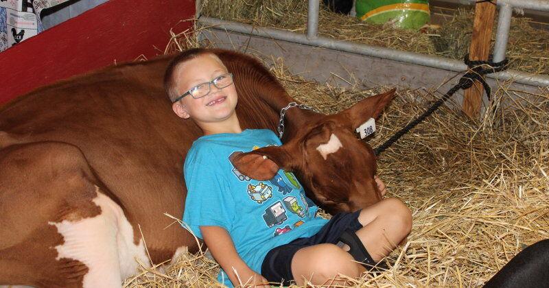 Showing Promotes Byma Dairy at New York State Fair | Farm Shows, County ...