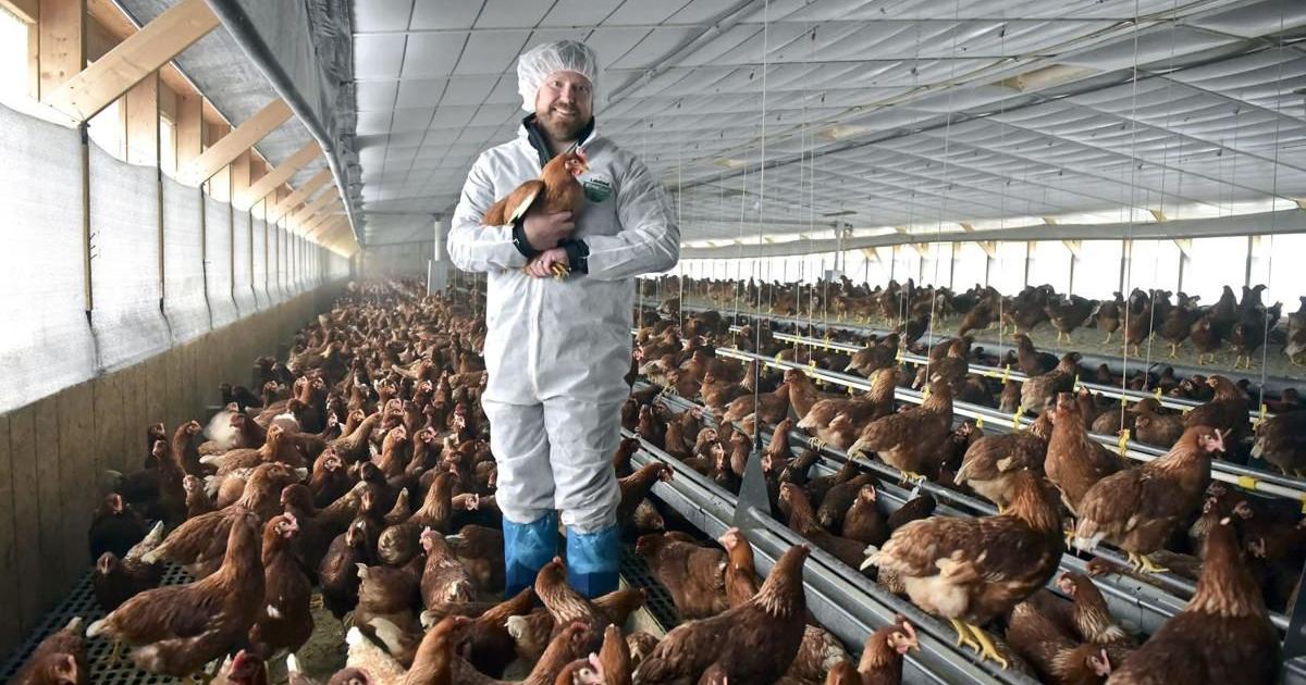 USDA census shows Lancaster County agriculture in transition | Farming ...