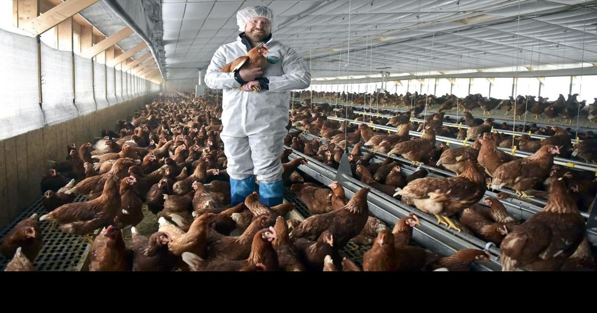 USDA census shows Lancaster County agriculture in transition | Farming ...