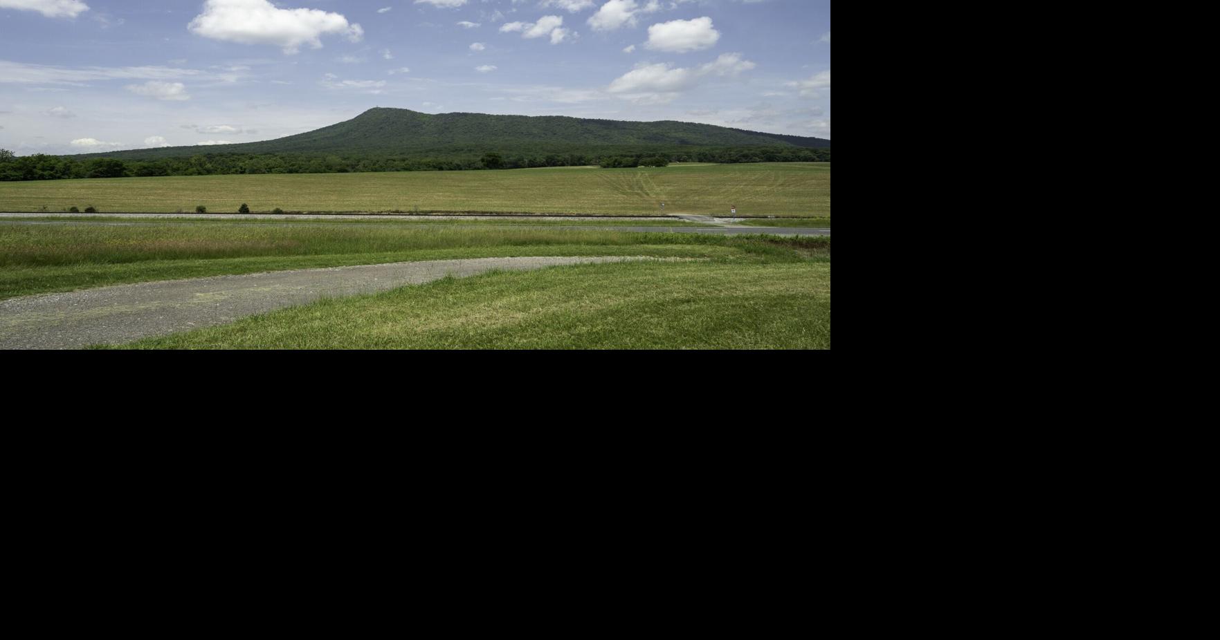 Data Centers Clobber Solar in Quest for Virginia Farmland ...