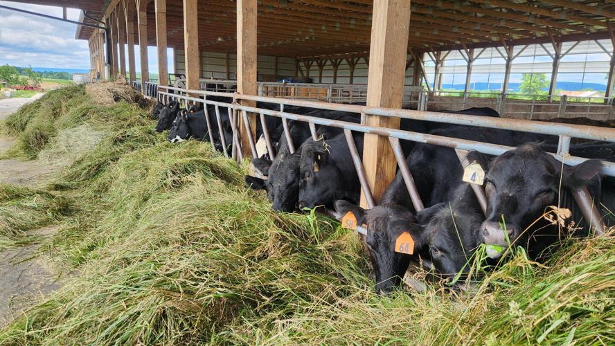 Irish-Made Zero Grazer Makes the Cut in Pennsylvania Forage | Farm ...