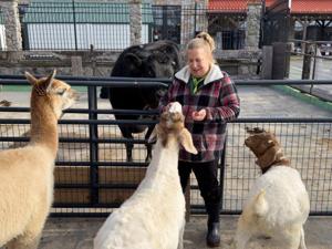 Country Junction General Store is Big Take on Old Tradition | Farm and ...