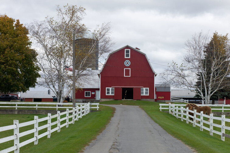 Twin Mill Farms Focuses on Family and Sustainable Agriculture | Dairy ...