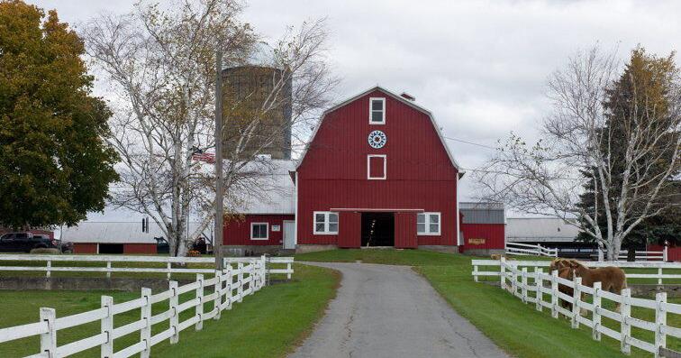 Twin Mill Farms Focuses on Family and Sustainable Agriculture | Dairy ...