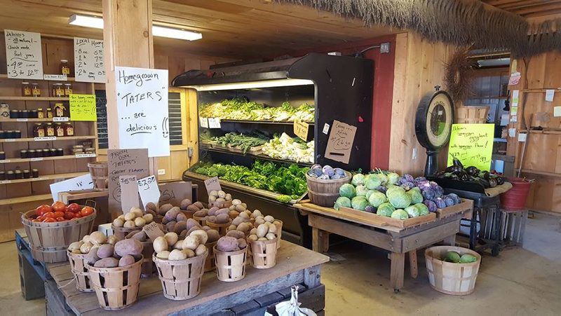Sweet Picking Starts Farm’s Summer | | lancasterfarming.com