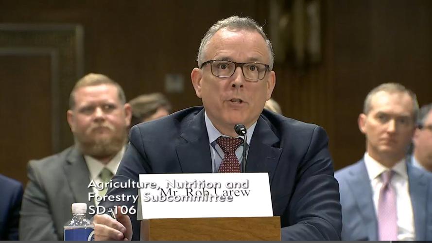 In Farm Bill, Ag Groups Seek Enhanced Crop Safety Net | Field Crop News ...