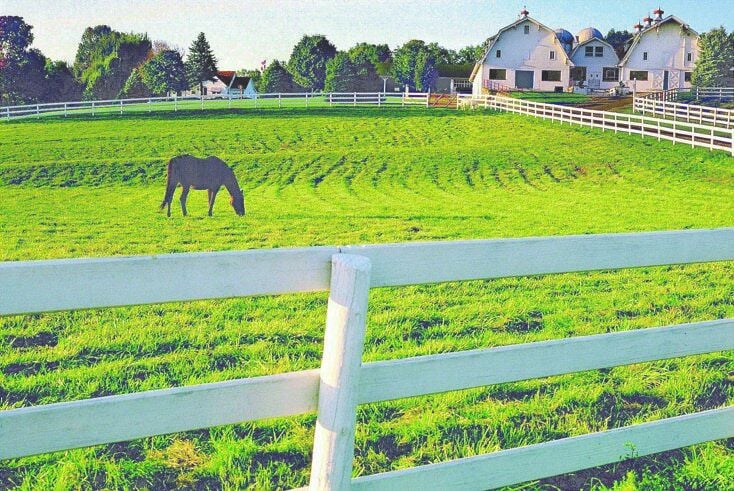 Get Your Horse, Pasture Ready for The Warm Months | Horse News and ...