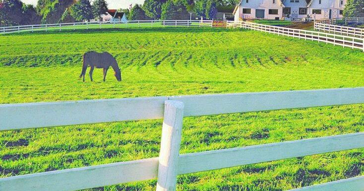Summer Checklist: Get Your Horse and Pasture Ready for the Warm Months ...