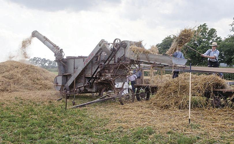 Threshing Oats the Old-Fashioned Way | Antiques, Collectibles ...
