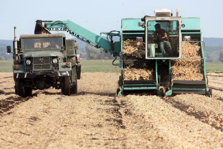 Controlling Their Destiny | Farm and Rural Family Life ...