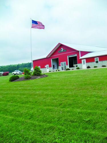 Rynd Home Farm: the Eighth Generation Continues the Tradition | Dairy ...