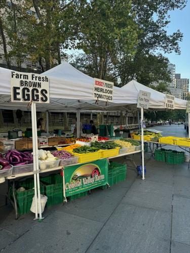 From Hunterdon County to Union Square: New Jersey Farm Capitalizes on ...