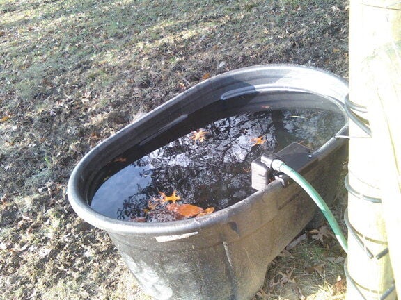 Managing Water Troughs to Keep Pastures Healthy | Conservation and ...
