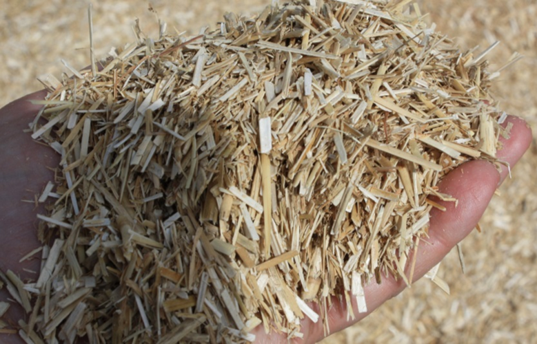 Optimizing Litter Depth to Enhance Broiler Production | Poultry News ...
