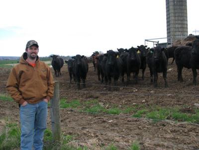 Springhouse Farm Taps Market for Grass-Fed Beef | Farming and ...